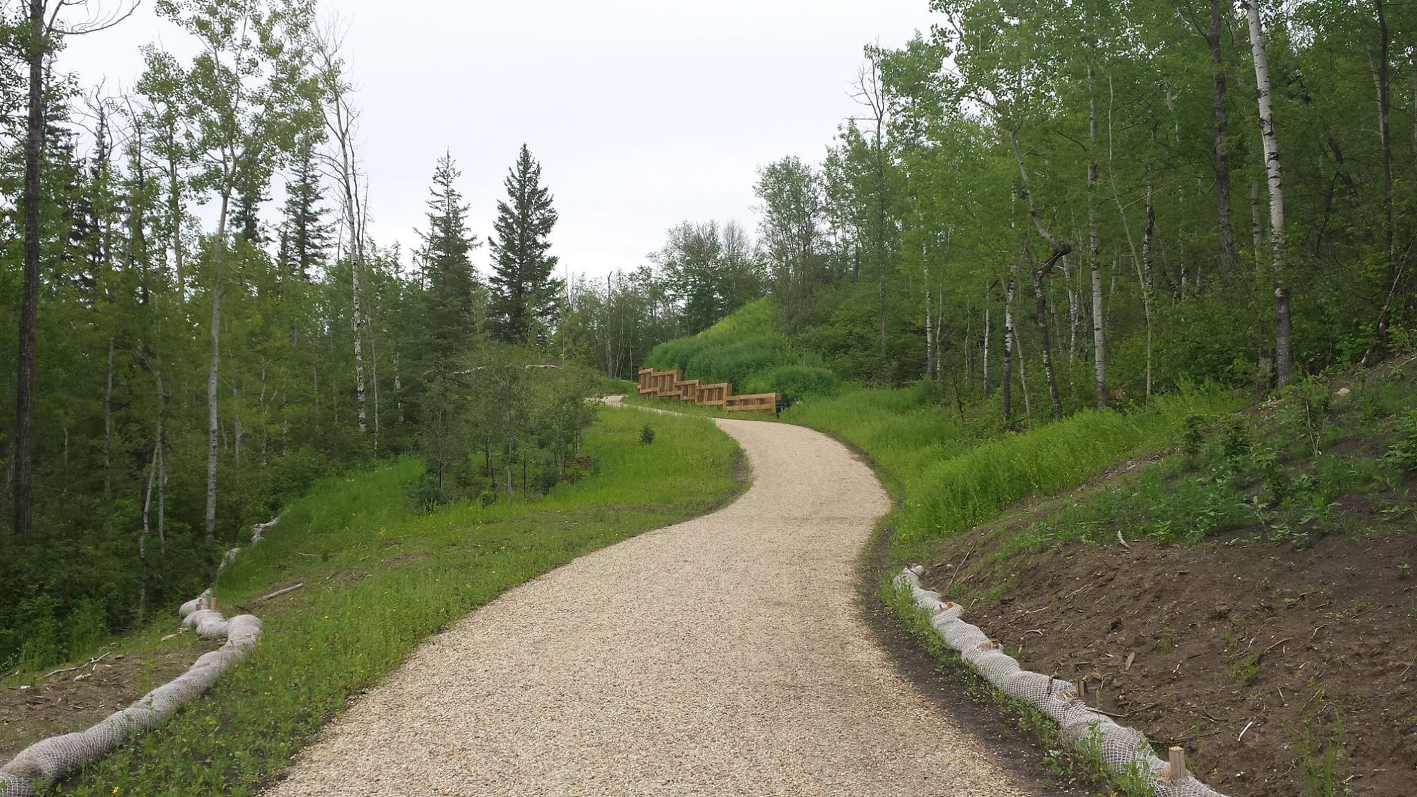 Edmonton - River Valley Alliance