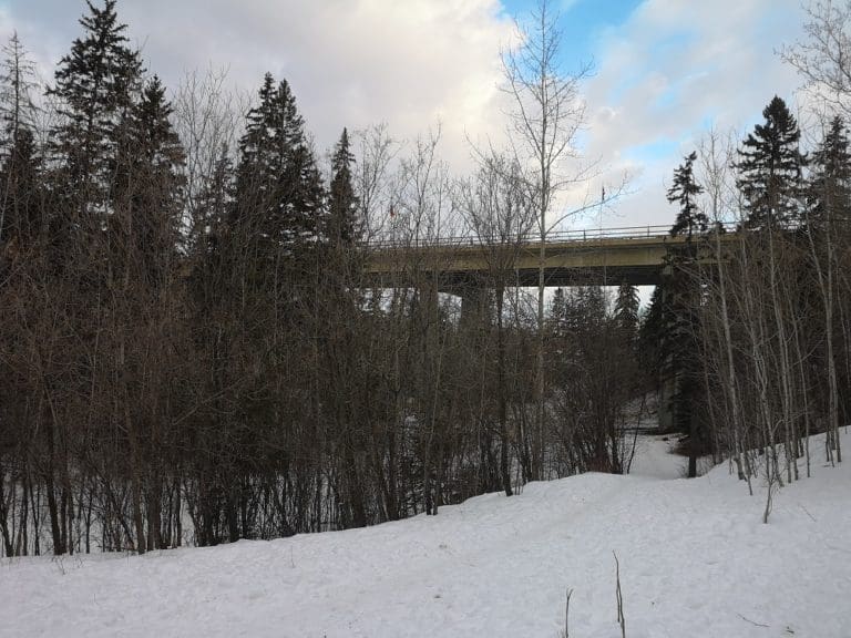 Trail Trek How-to: Mill Creek Ravine South - River Valley Alliance