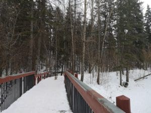 Trail Trek How-to: Mill Creek Ravine South - River Valley Alliance