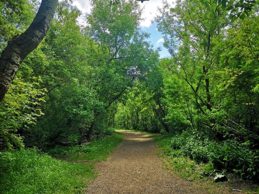 Trail Trek How-to: Mill Creek Ravine North - River Valley Alliance