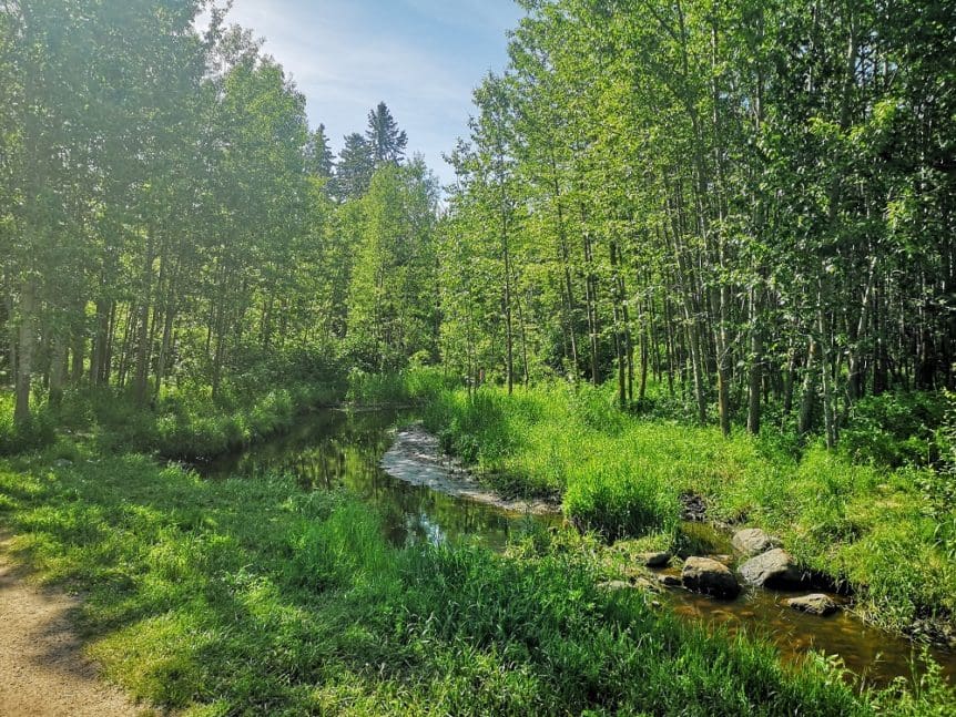 Trail Trek How-to: Mill Creek Ravine, the Mill Woods Edition - River ...