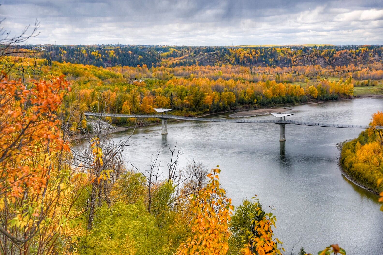 Board Opening: River Valley Alliance - River Valley Alliance