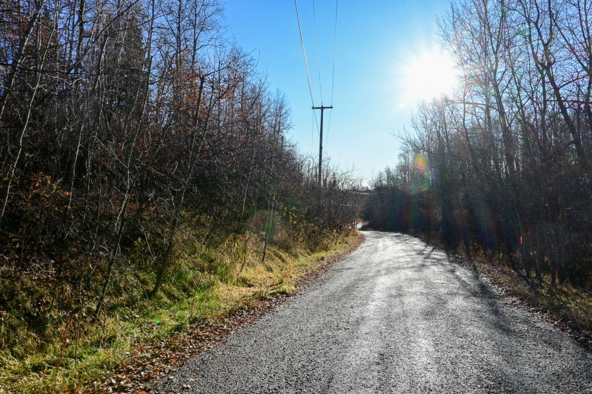 Trail Trek How-to: Wedgewood Ravine - River Valley Alliance