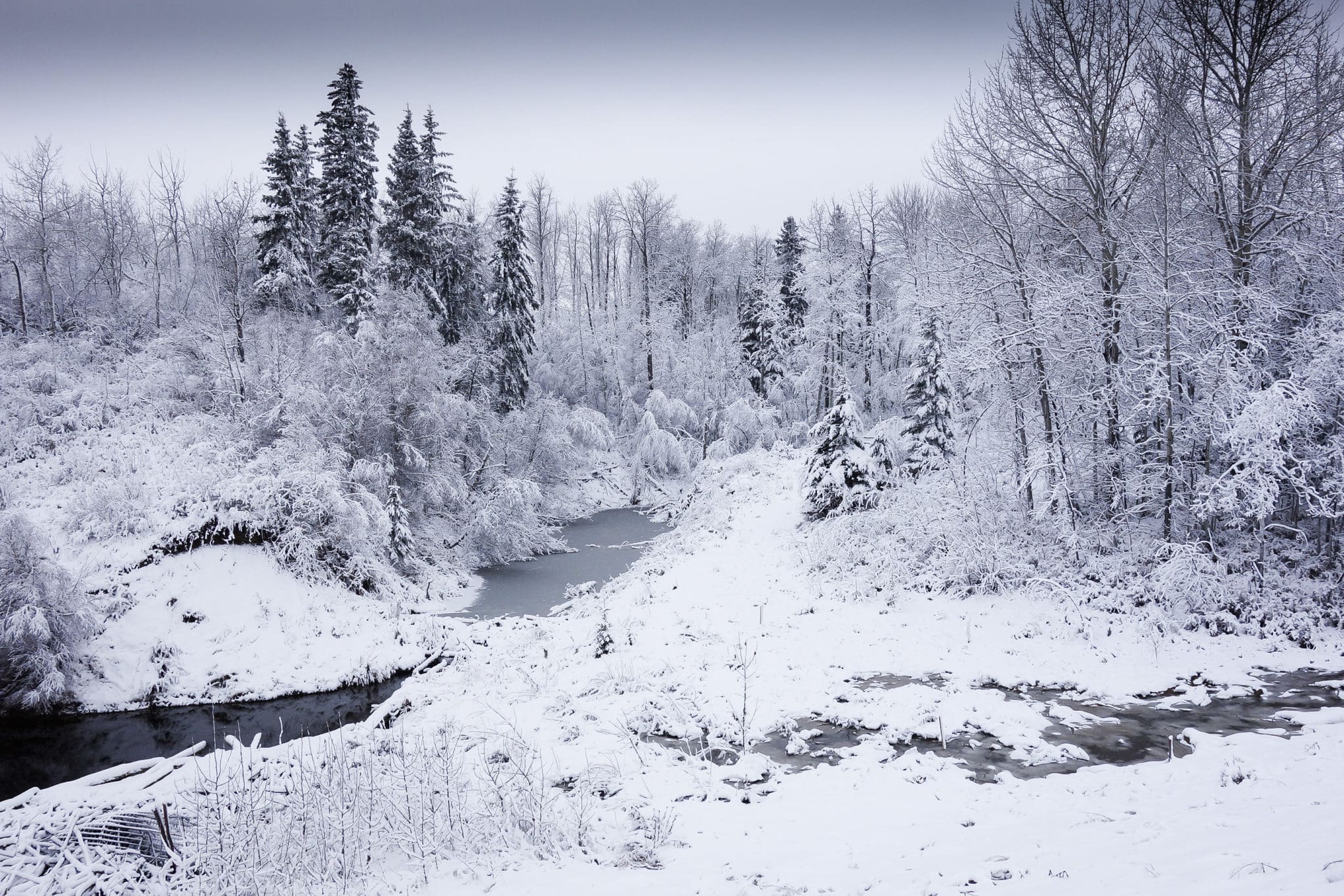Trail Trek How-to: Wedgewood Ravine - River Valley Alliance